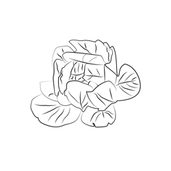 Lettuce 1 Coloring Page for Kids - Free Lettuce Printable Coloring ...