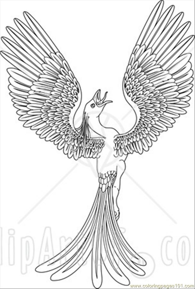 Bird Phoenix Pages Coloring Flying Magical Clipart Illustration ...