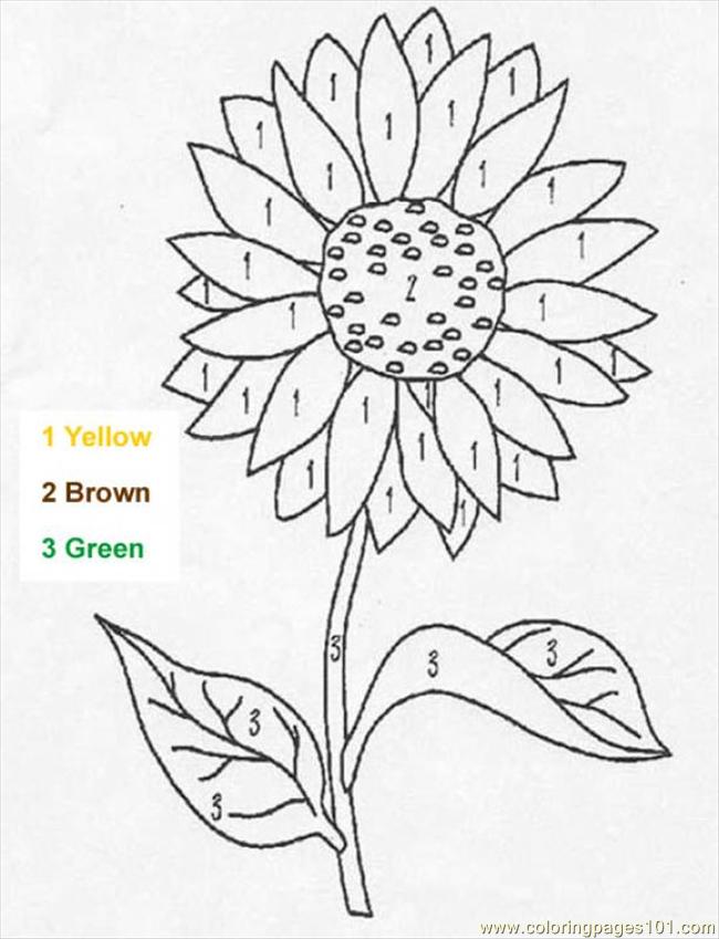 Er Coloring Pages Coloring Pages
