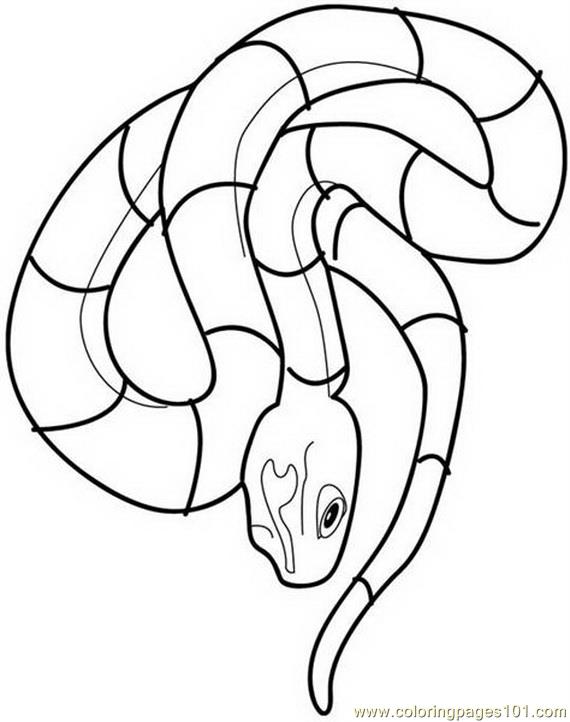 Water Moccasin Snake Coloring Book Pages Coloring Pages