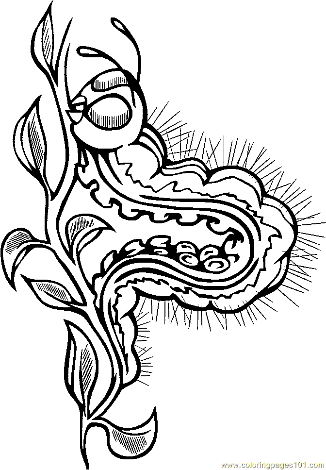 Coloring Pages Worm (Insects > Worms) - free printable coloring page online